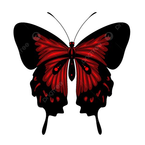 Beautiful Butterfly Vector Png Images Red And Black Beautiful