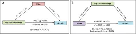 Mediation Models Of The Relationships Between Supplementation