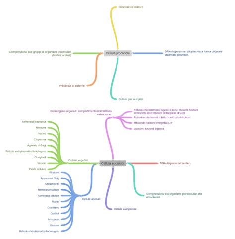 Cellula Procariote Cellula Eucariote Coggle Diagram