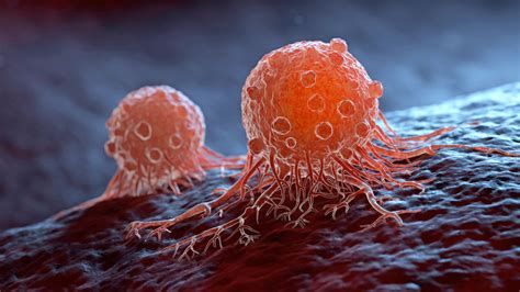 Indagan El Origen Del Cáncer En Células Troncales Gaceta Unam