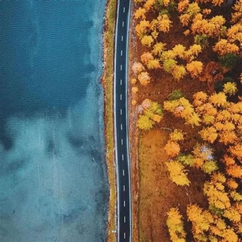 Linux之whereis命令 知乎