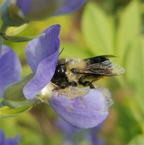 Flatpak In Detail Part 2 Goings On