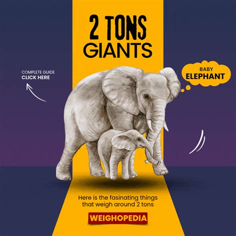 What Weighs 2 Tons 15 Common Things That Weigh 2 Tons