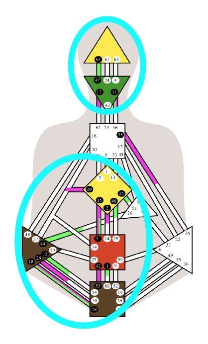 Human Design Definition Single Split Triple Split Quadruple Split