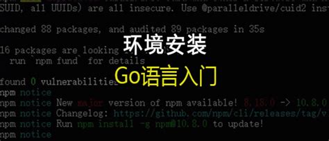 go 语言入门： 一 环境安装 zero开发 segmentfault 思否