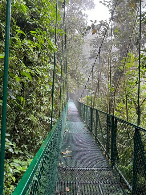 Darrell Huckaby Writer