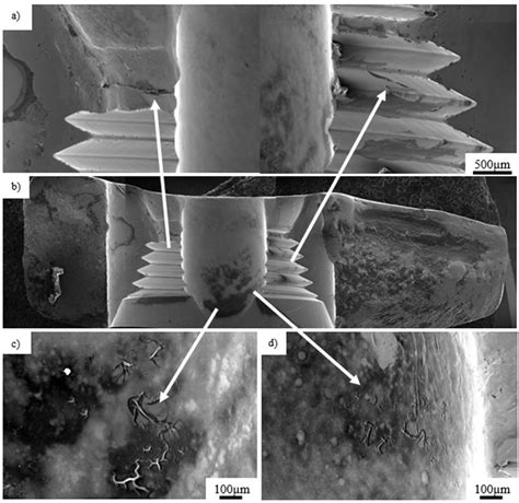 Microscopic Observations Of The Inner Area Of The Fracture Surface