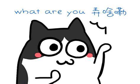 What什么意思酷知科普