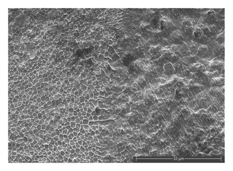 Microstructure A Molten Pool Before Stretching B Molten Pool