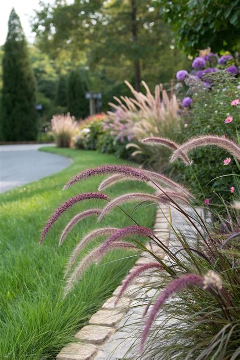19 Creative Purple Lawn Ideas For A Unique Garden Gardeneco