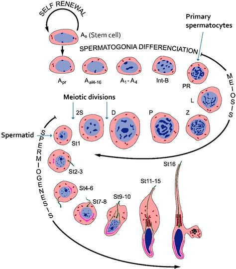 Nordisk Ministerråd Temanord2020 507