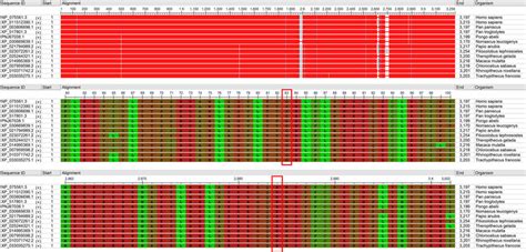 multiple sequences alignment depiction of cplane1 gene the red boxes