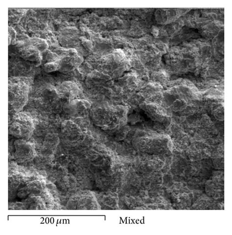 Sem Micrographs Showing Characteristics Of The Coatings A