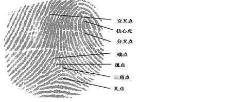 【老生谈算法】基于matlab指纹识别系统设计与算法原理详解（论文程序源码）——指纹识别声音指纹技术 Matlab Csdn博客