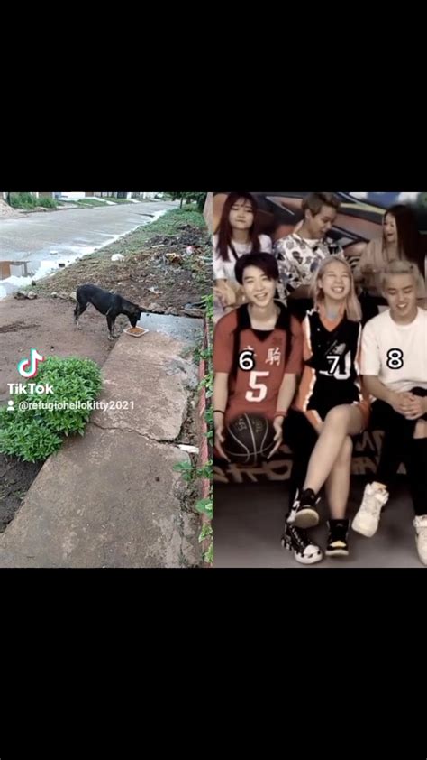 Refugio Hello Kitty Bolivia Home