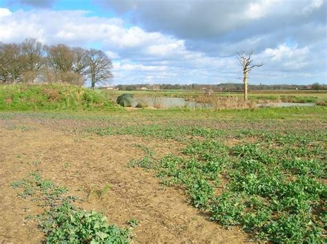 Visit Lower Dicker 2024 Travel Guide For Lower Dicker Hailsham Expedia