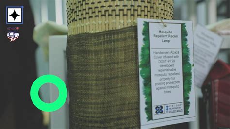 Biotek M Dengue Aqua Diagnostic Kit Access To Cheaper Molecular Amplification Tool And To Biotek M Dengue Aqua Diagnostic Kit Access To Cheaper Molecular Amplification Tool And To