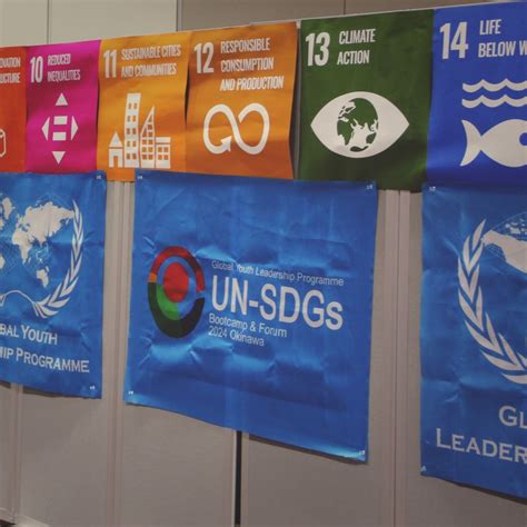 Why The Sdgs Matter A Conversation On Sustainability Chinese Youth