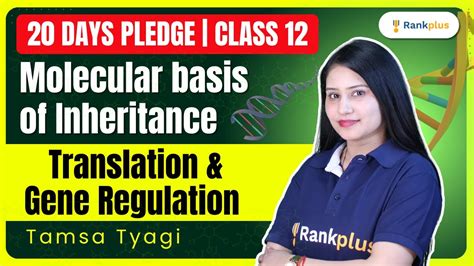 Molecular Basis Of Inheritance Translation And Gene Regulation