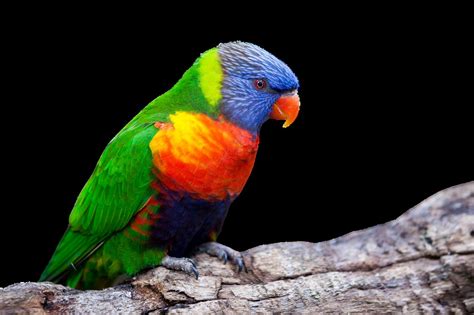 Transitional Care Retreat Brochure 2024 By Ilsservices Issuu