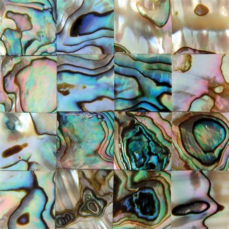 Luxury Paua Shell Mosaic Abalone Shell Mosaic Tile For Five Star Hotel