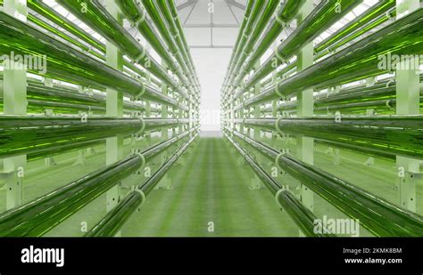 Biomass Algae Stock Videos And Footage Hd And 4k Video Clips Alamy