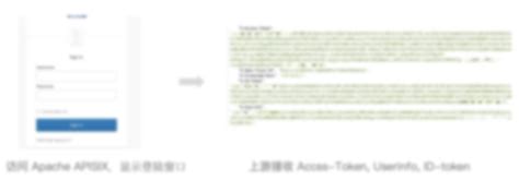 Centralized Authentication With Apache APISIX And Advanced Tricks Apache APISIX Cloud