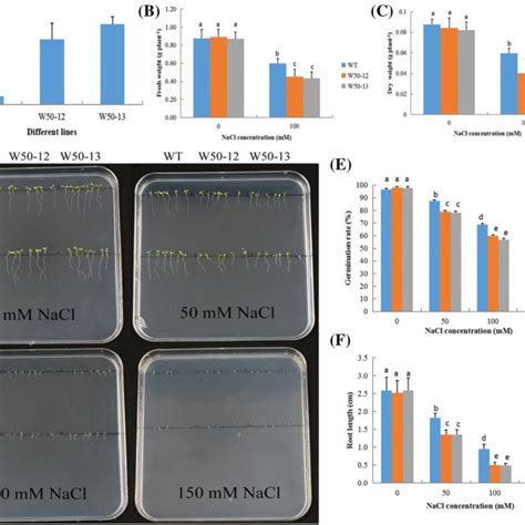 Subcellular Localization Expression Pattern And Transcriptional