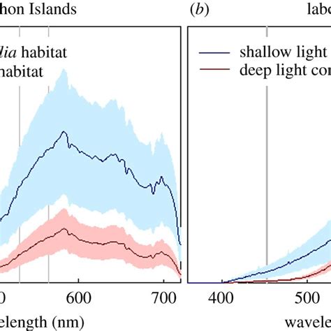 Light Conditions At Python Islands And In The Laboratory A