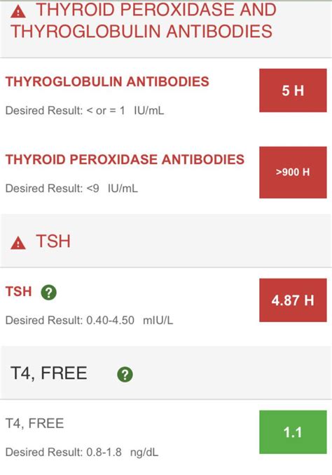 Got My Labs Back Any Help Interpreting Is Much Appreciated 29m Always Feeling Fatigued R