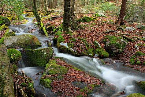 Kostenlose Bild Holz Blatt Natur Strom Wasser Moos Bach Wasserfall Landschaft