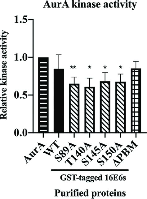 The Interaction Between Aurora Kinase A And E6 May Not Affect The