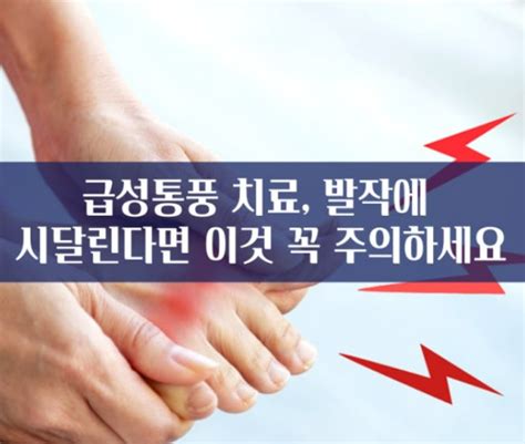 국민체력센터 블로그 급성 통풍 치료 통풍 약 복용부터 생활 관리까지