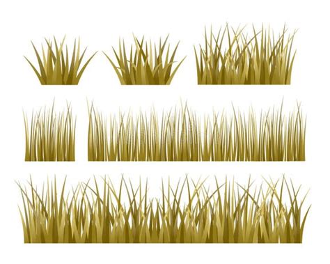 A Set Of Realistic Dry Grass Vector Illustrations In Different Shapes