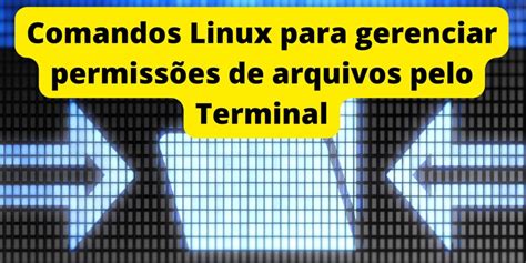 Comandos Linux Para Gerenciar Permissões De Arquivos Pelo Terminal Sempreupdate