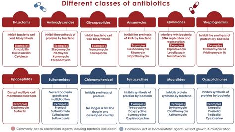 Antibiotics Bactericidal Bacteriostatic Bacteria Shorouq Al Qazaqi