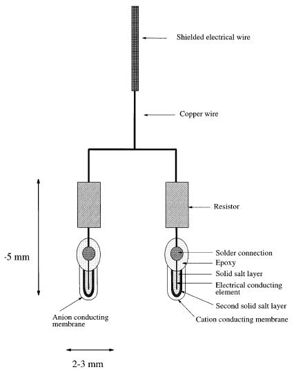 Schematic Drawing Of The Solid State Reference Electrode Prepared At