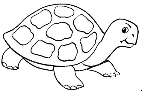8 Tortoise Clip Art Preview Tortoise Prescho Hdclipartall