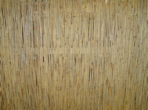 Free Picture Reed Rushmat Rush Mat