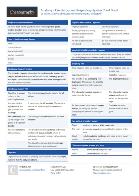Anatomy Circulatory And Respiratory System Cheat Sheet By Baker Fam