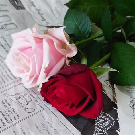 Mari Kml Base • Threads Say More