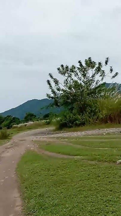 Nature Green Grass Greengrass Refreshing View Enjoy Roadtrip