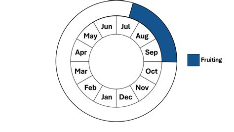 Straight Leaved Pondweed