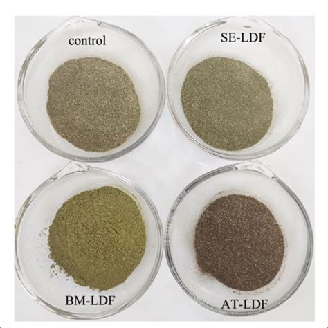 Figure Real Pictures Of Control Se Ldf Bm Ldf And At Ldf Control Download Scientific