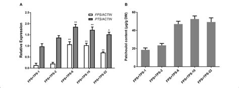 Engineering Patchoulol Biosynthesis In The Cytoplasm Of A Annua