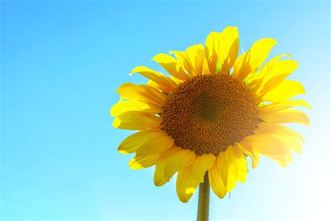 Ceu Library The Library Of Central European University