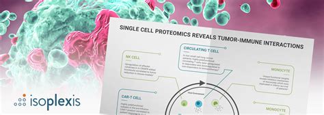 Functional Cellular Phenotyping In The Tumor Microenvironment