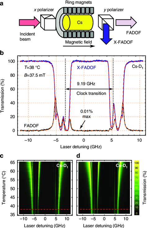 Experimental And Theoretical Characterization Of The Faraday Filter