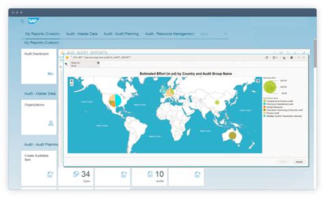Sap Audit Management Reviews And Pricing 2025 Goodfirms