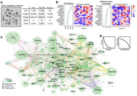 中国农业大学农学院 学术科研 Nature Communications 中国农业大学宋任涛教授团队揭示玉米胚乳单细胞分辨率的转录图谱和基因调控网络